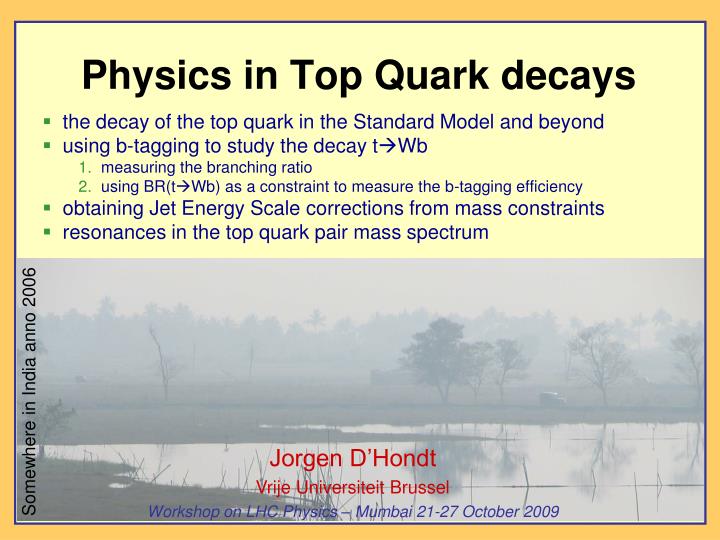 PPT - Physics in Top Quark decays PowerPoint Presentation, free ...