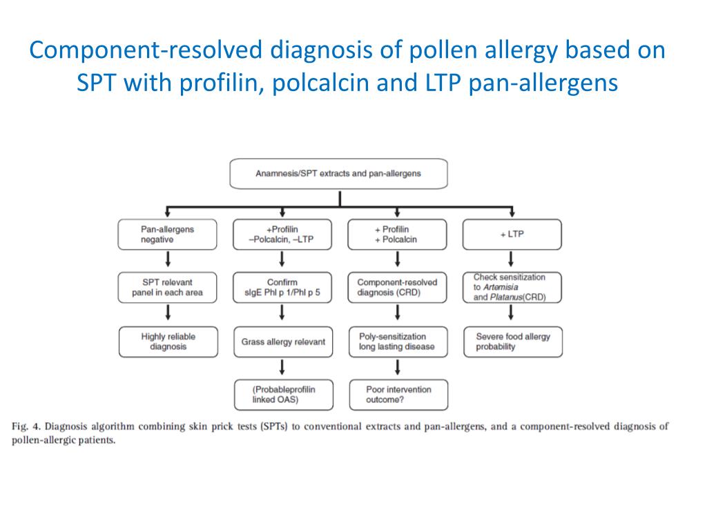 PPT - Skin or In Vitro Test for Food Allergy? Skin Test PowerPoint ...