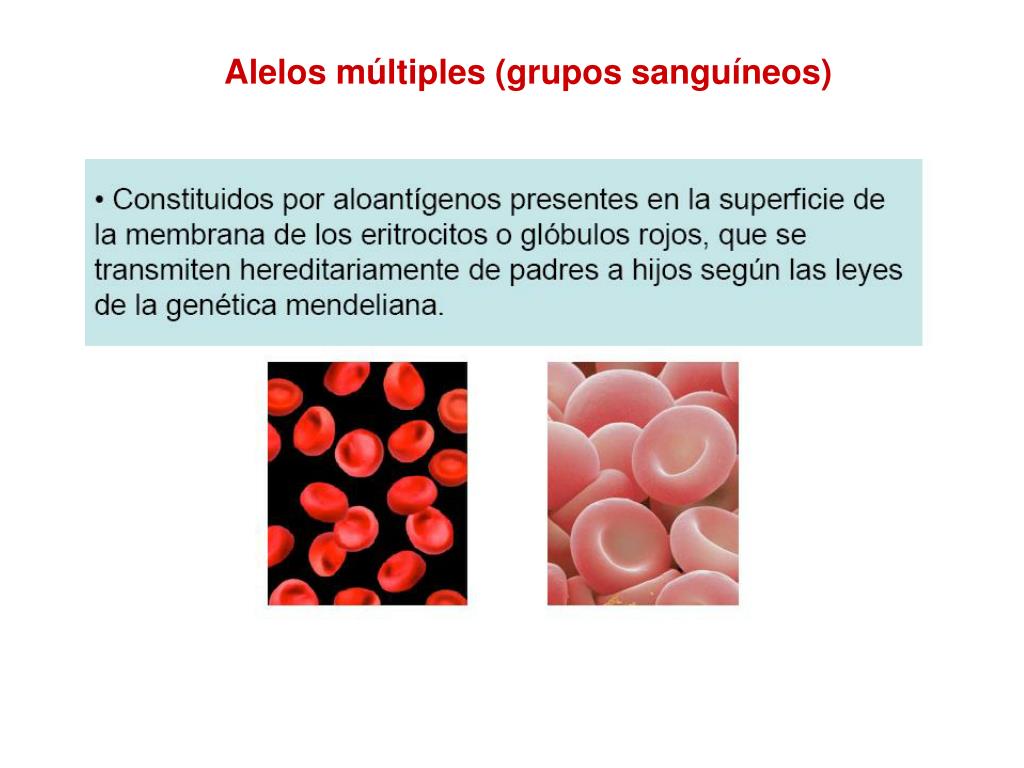 PPT - Extensiones de la Herencia Mendeliana PowerPoint Presentation ...