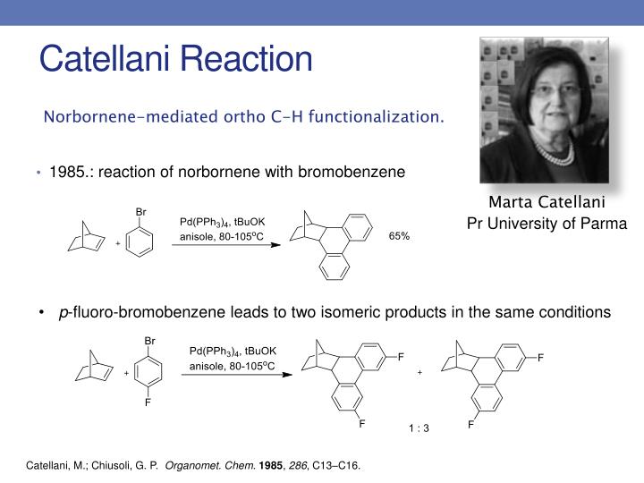 PPT - Ortho vs Ipso: Site-Selective Pd and Norbornene-Catalyzed Arene C ...