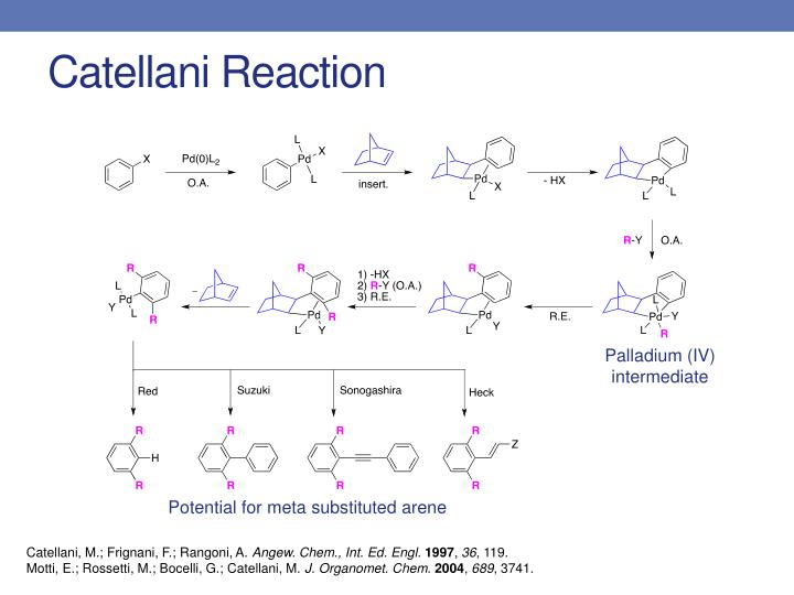 PPT - Ortho vs Ipso: Site-Selective Pd and Norbornene-Catalyzed Arene C ...
