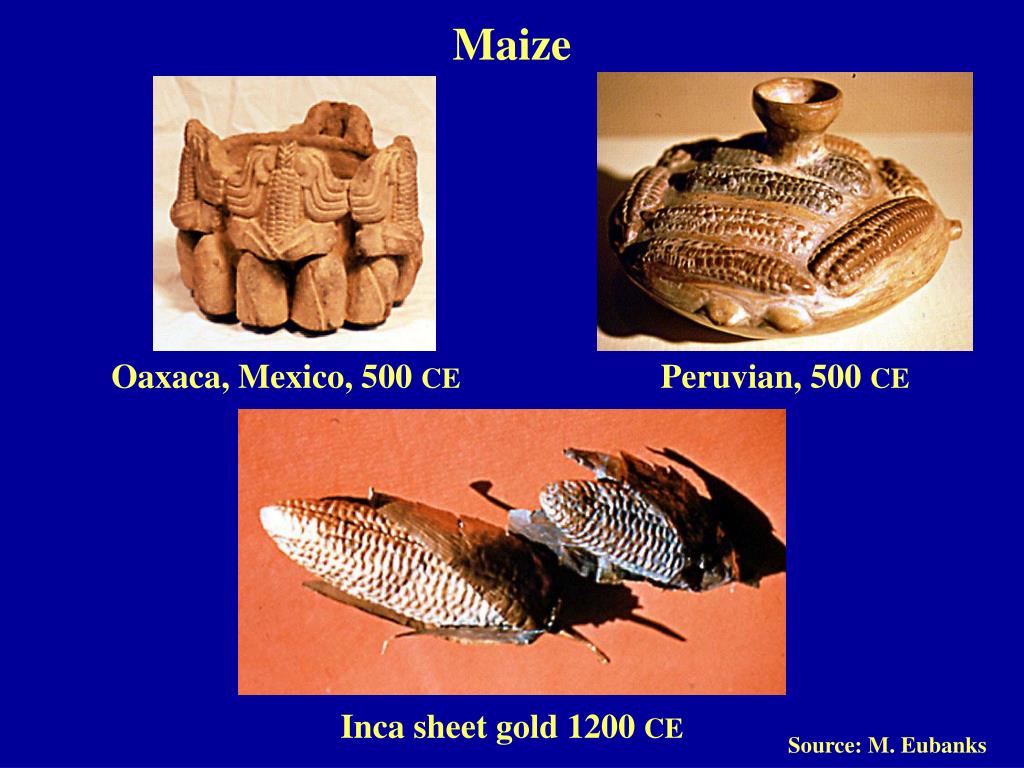 PPT - Horticulture and Culture of Pre-Columbian America PowerPoint ...