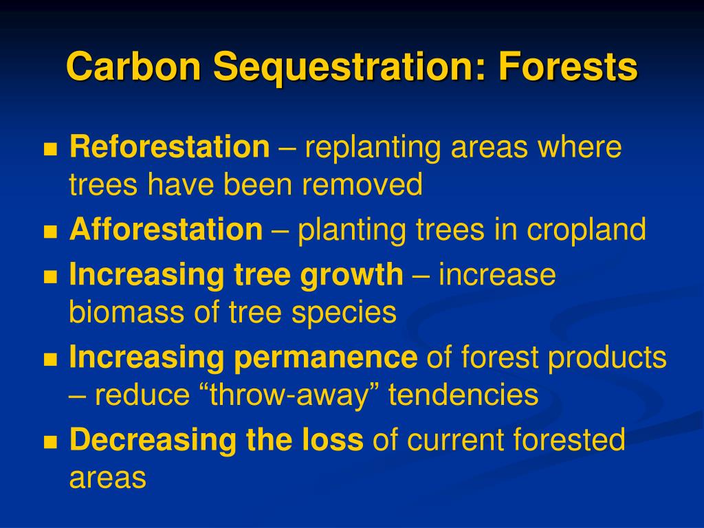 PPT - Terrestrial Carbon Sequestration PowerPoint Presentation, free ... PPT - Terrestrial Carbon Sequestration PowerPoint Presentation, free ...
