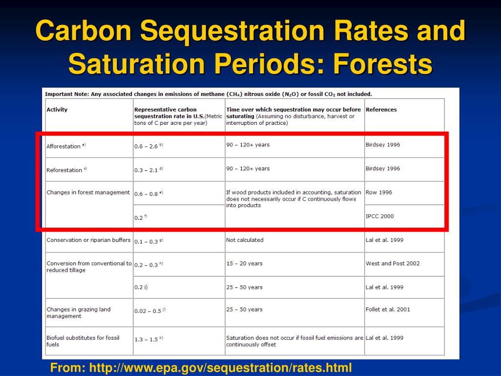 PPT - Terrestrial Carbon Sequestration PowerPoint Presentation, free ... PPT - Terrestrial Carbon Sequestration PowerPoint Presentation, free ...