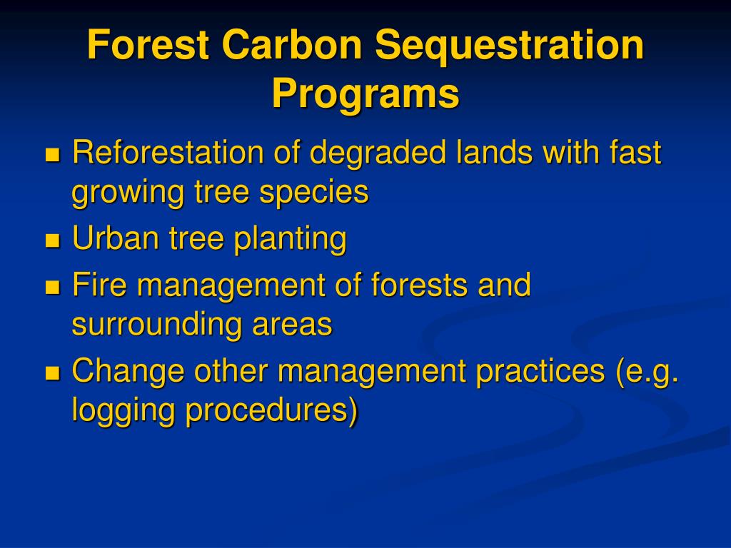 PPT - Terrestrial Carbon Sequestration PowerPoint Presentation, free ... PPT - Terrestrial Carbon Sequestration PowerPoint Presentation, free ...