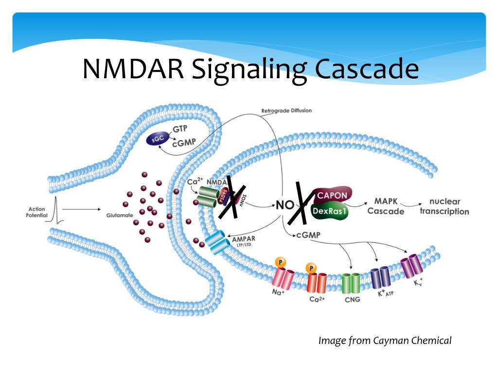 PPT - Protein-protein interaction disruptors as therapeutic targets ...
