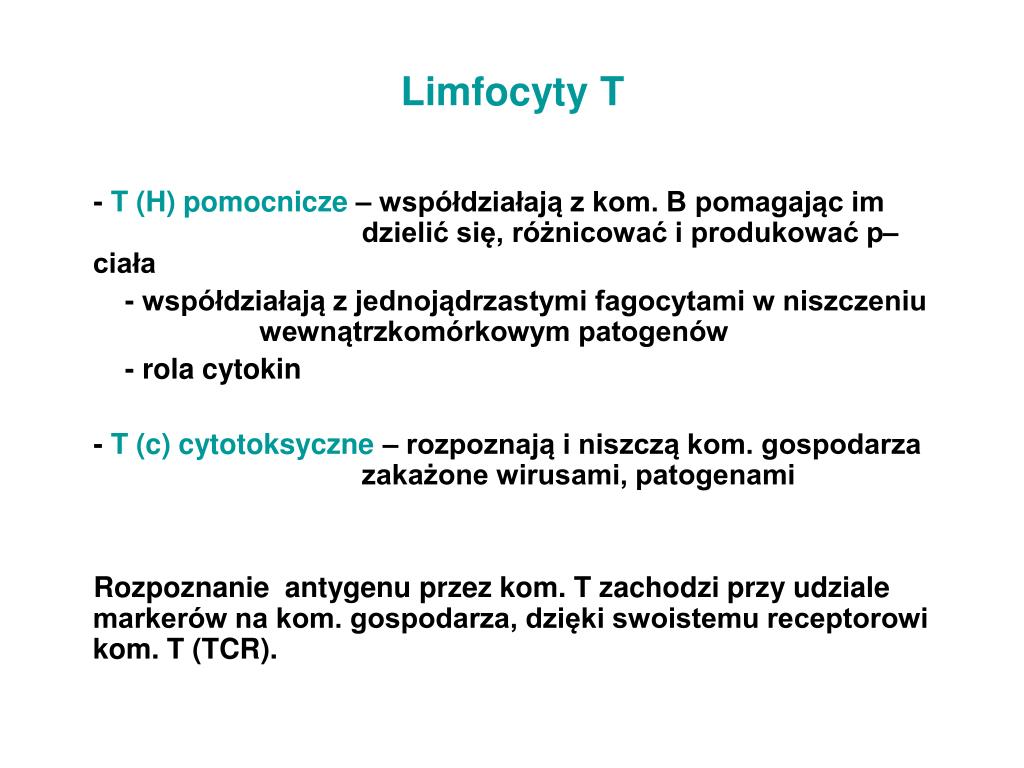 PPT - Elżbieta Jeżewska PowerPoint Presentation, free download - ID:3328573