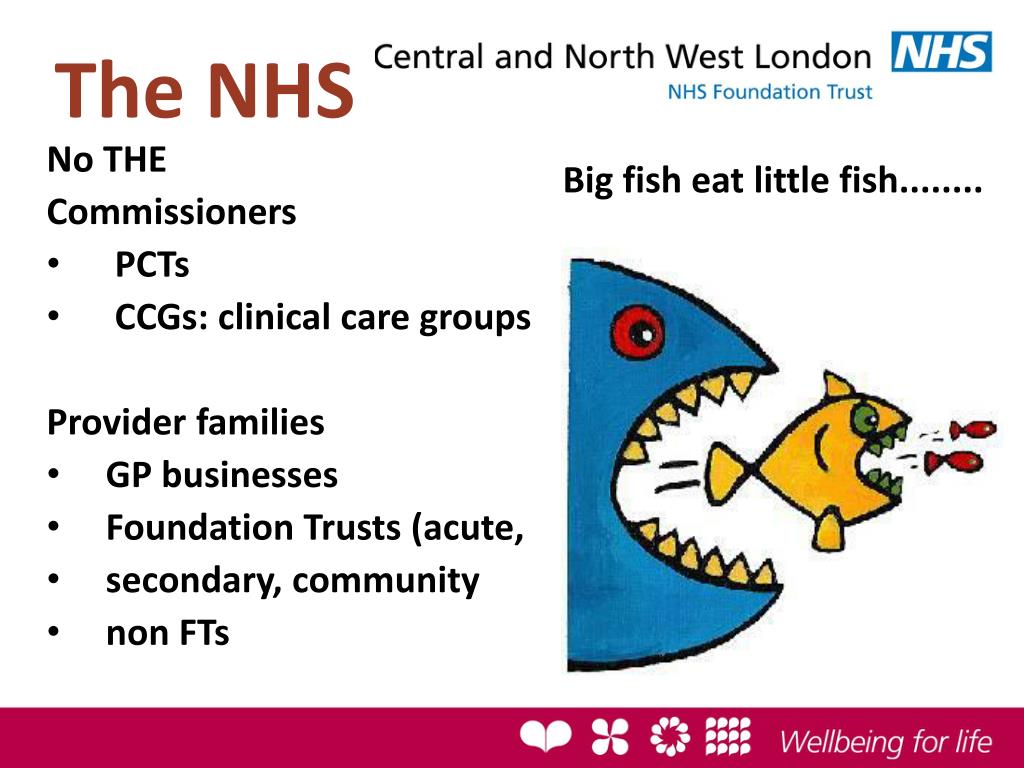 PPT - Role The NHS new treatment landscape Annette Dale-Perera ...