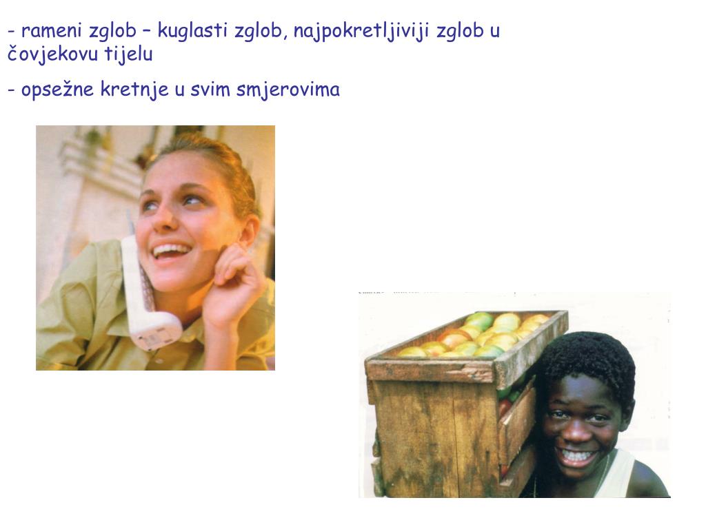 PPT - SYNDESMOLOGIA (znanost o zglobovima i spojevima među kostima ...