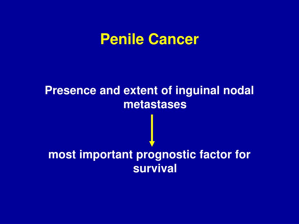 PPT - Management of Groin in Cancer of the Penis PowerPoint ...