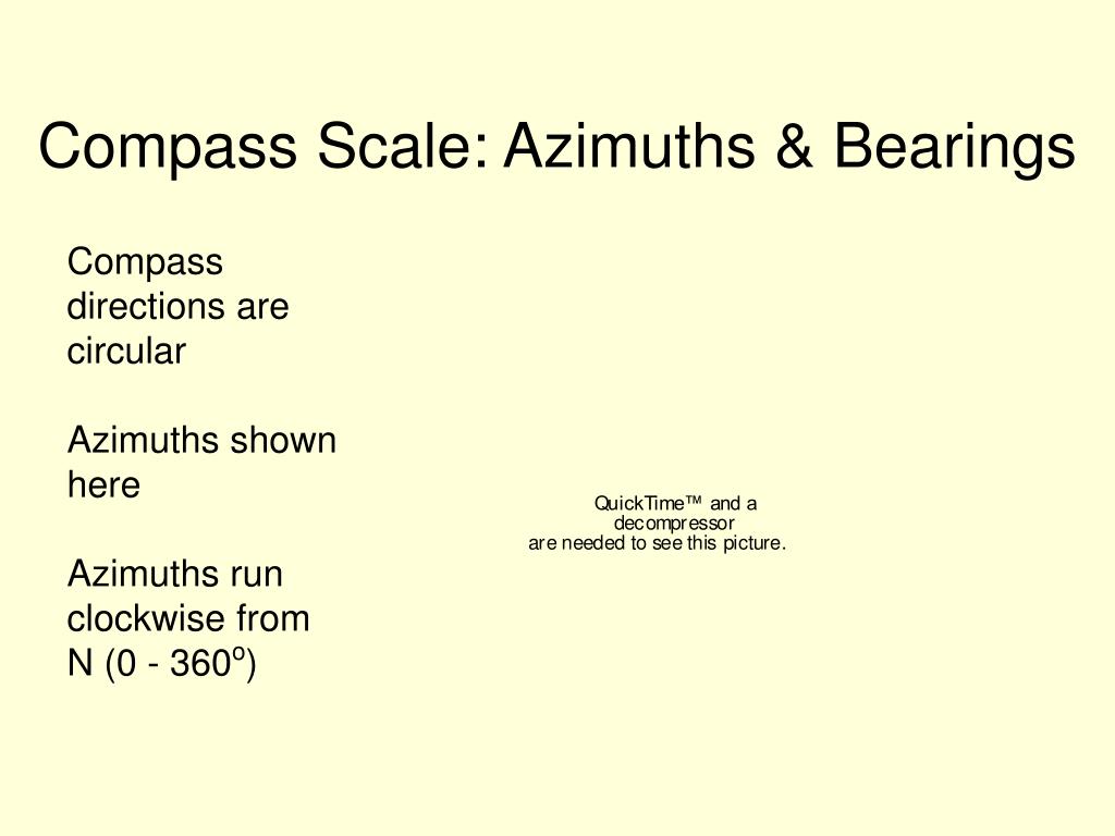 PPT - Groundstory Vegetation & LOD: Sampling Short Plants and Other ...