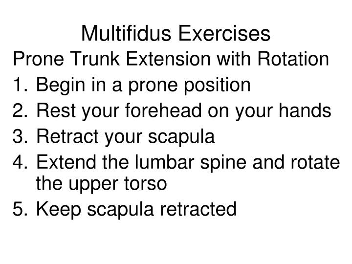 PPT - Muscles of the Core-Lumbo-Pelvic-Hip Complex PowerPoint ...