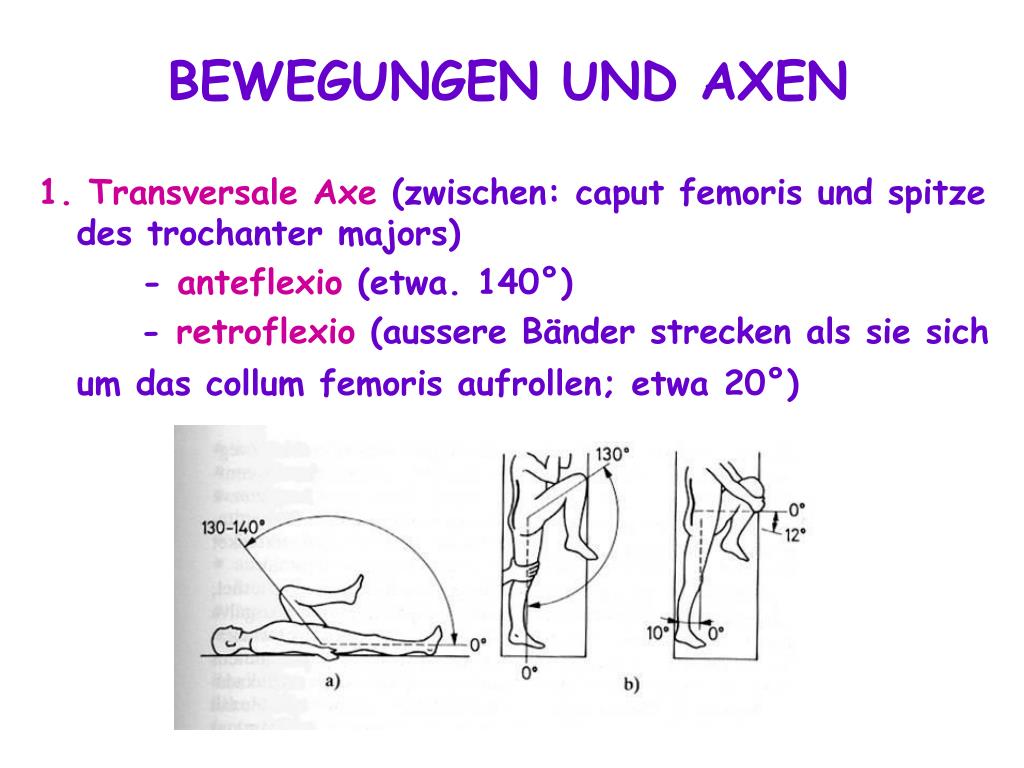 PPT - BECKEN (KNOCHEN UND BÄNDER) ARTICULATIO COXAE PowerPoint ...