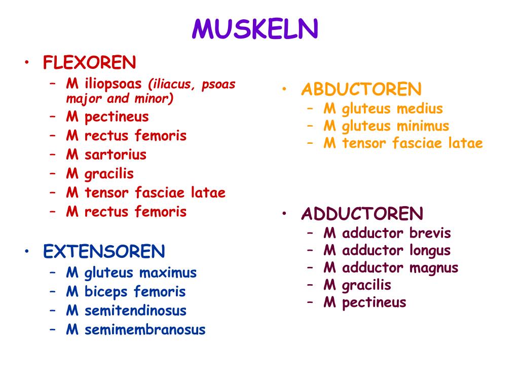 PPT - BECKEN (KNOCHEN UND BÄNDER) ARTICULATIO COXAE PowerPoint ...