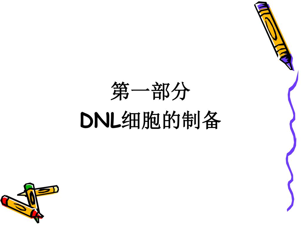 PPT - DNL 细胞制备及抗瘤机制 PowerPoint Presentation, free download - ID:3331794