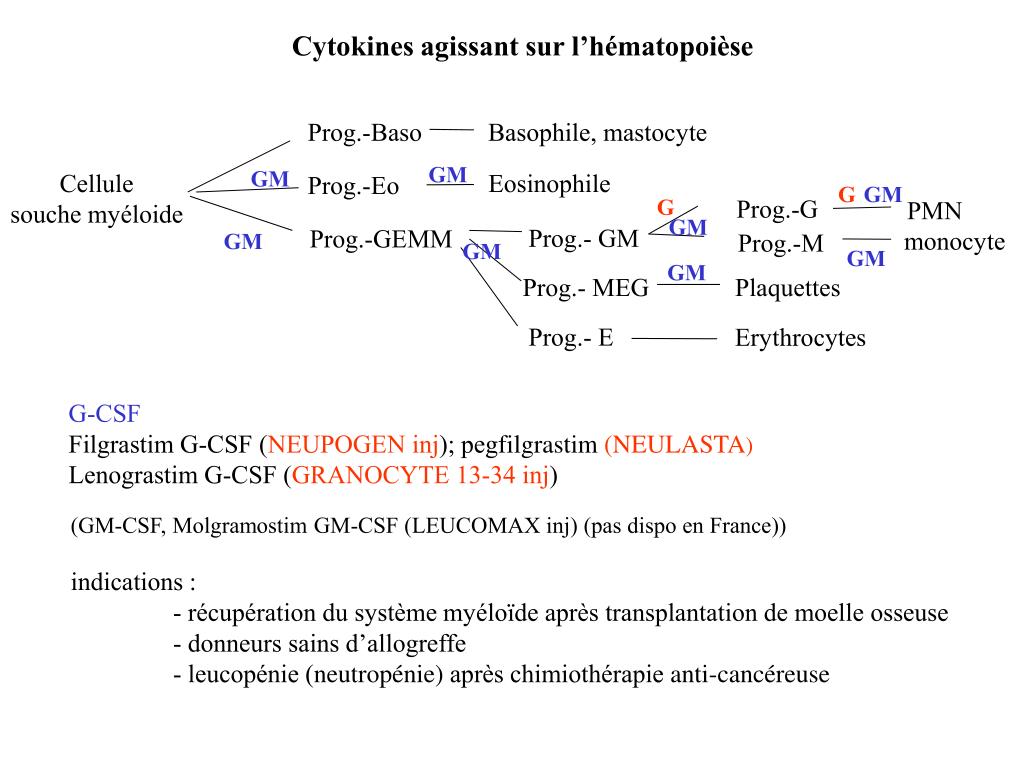 PPT - Utilisation des cytokines et antagonistes en thérapeutique ...
