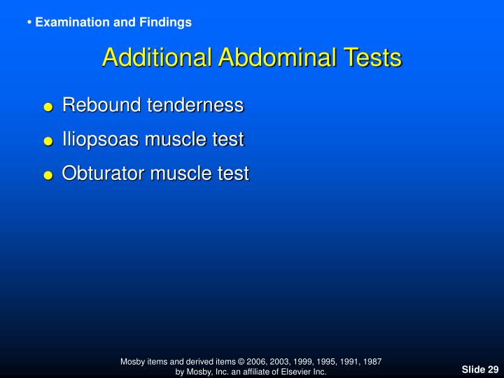 PPT - Describing the Abdomen PowerPoint Presentation - ID:3332899