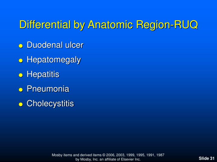 PPT - Describing the Abdomen PowerPoint Presentation - ID:3332899