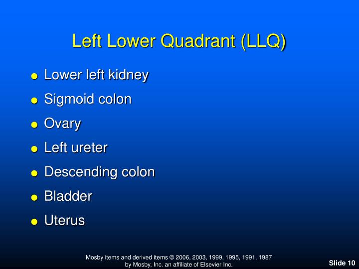 PPT - Describing the Abdomen PowerPoint Presentation - ID:3332899