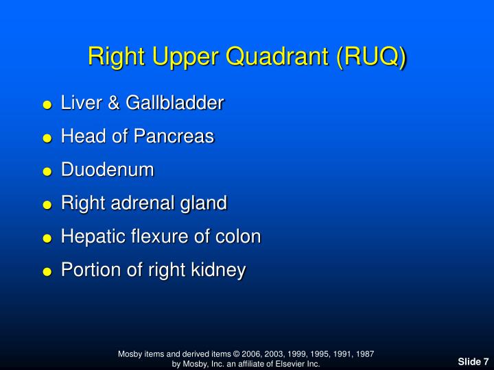 PPT - Describing the Abdomen PowerPoint Presentation - ID:3332899