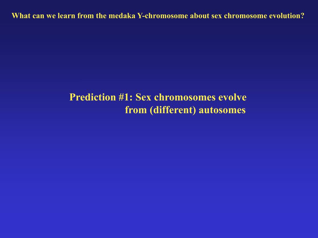 Ppt Evolution Of Sex Determination And Sex Chromosomes What Can We