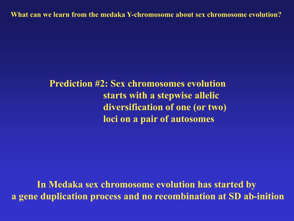 Ppt Evolution Of Sex Determination And Sex Chromosomes What Can We