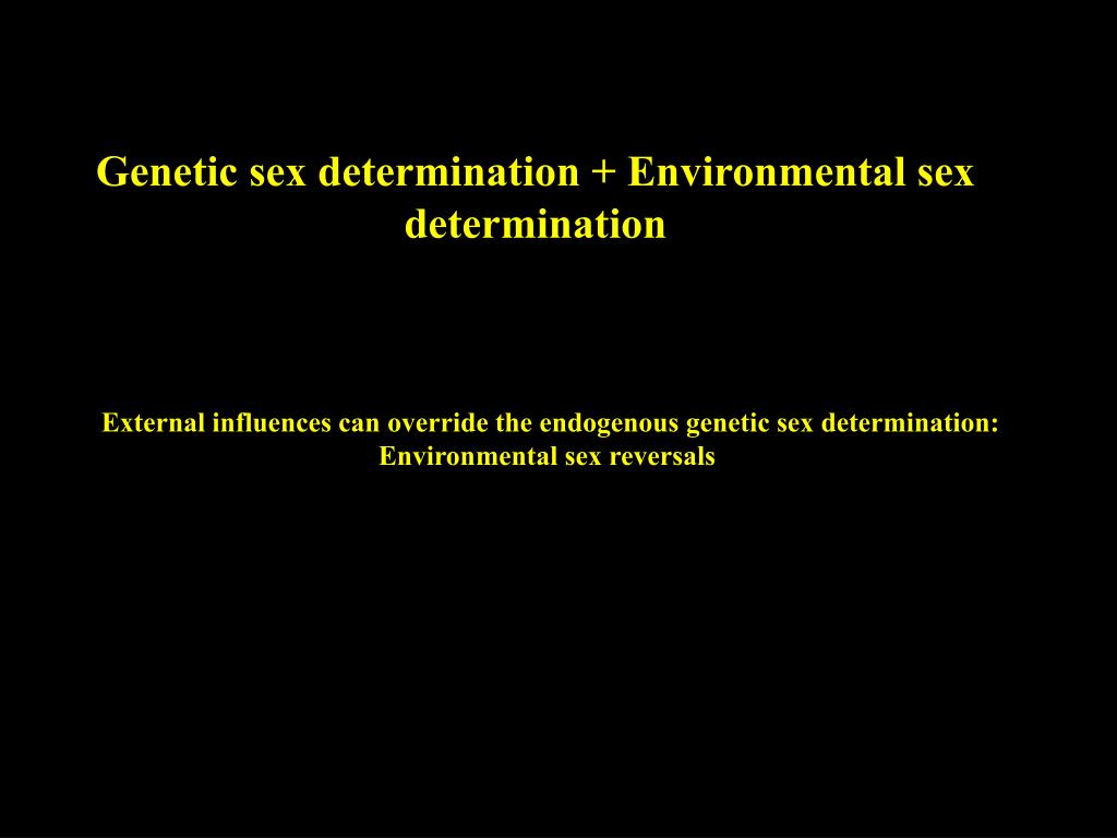 Ppt Evolution Of Sex Determination And Sex Chromosomes What Can We