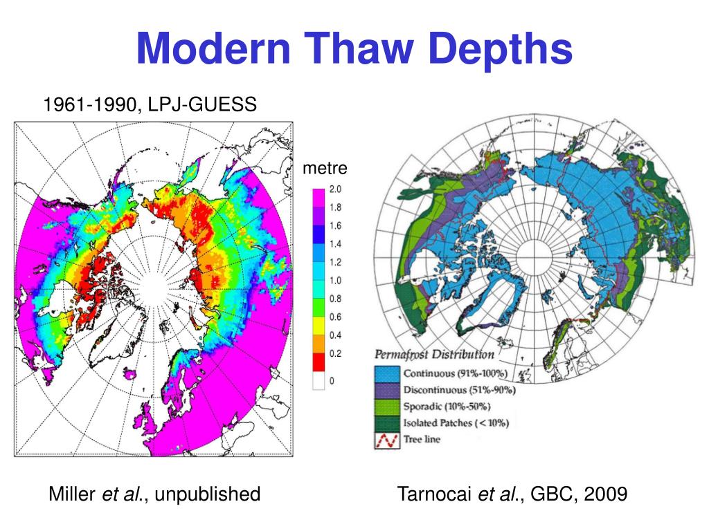 PPT - The Tundra Carbon Balance - some recent results with LPJ-GUESS ...