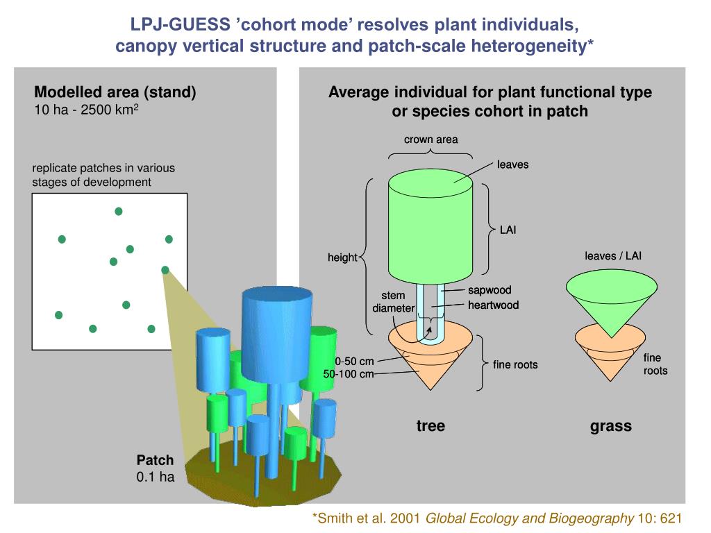 PPT - EC-Earth – Copenhagen, Sep. 7/8, 2011 Coupling LPJ-GUESS to EC ...