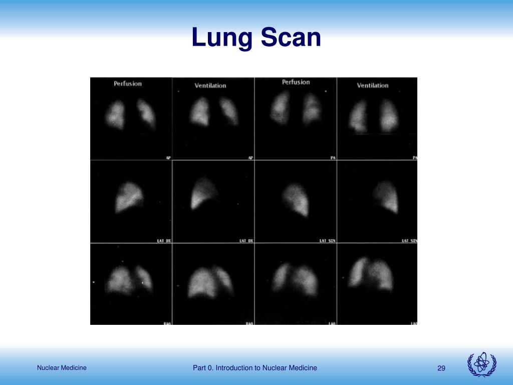 PPT - RADIATION PROTECTION IN NUCLEAR MEDICINE PowerPoint Presentation ...