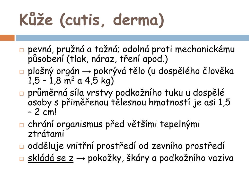 PPT - SOUSTAVA KOŽNÍ PowerPoint Presentation, free download - ID:3334455