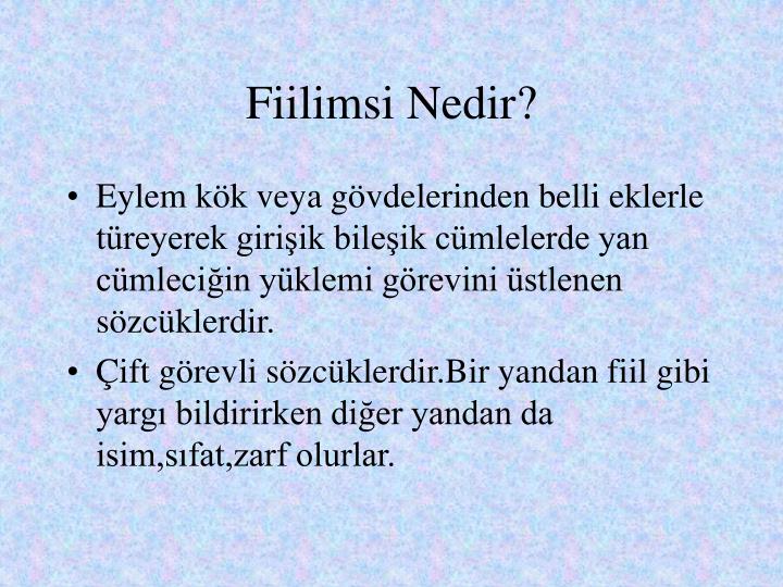 PPT - Fiilimsi Nedir? PowerPoint Presentation, free download - ID:3334947