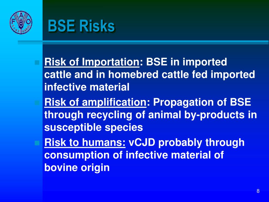 PPT - Bovine Spongiform Encepalopathy, BSE PowerPoint Presentation ...