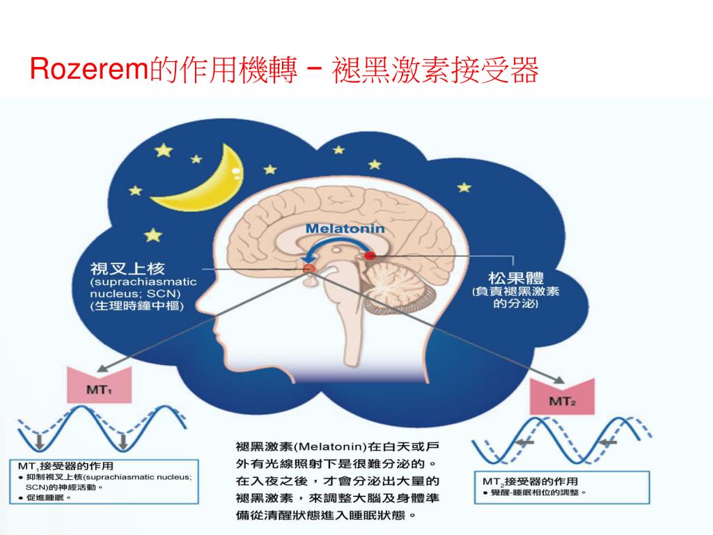 PPT - Key slides~ Hypnotics and The Role of Novel Hypnotic-Rozerem ( 失眠 ...