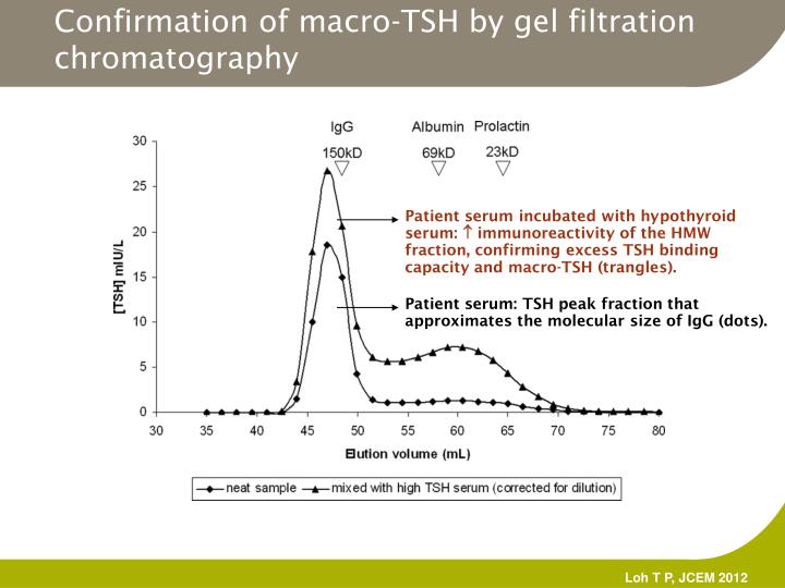 PPT - Macro-TSH and endogeneous antibody interference in immunoassays ...