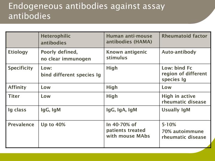 PPT - Macro-TSH and endogeneous antibody interference in immunoassays ...