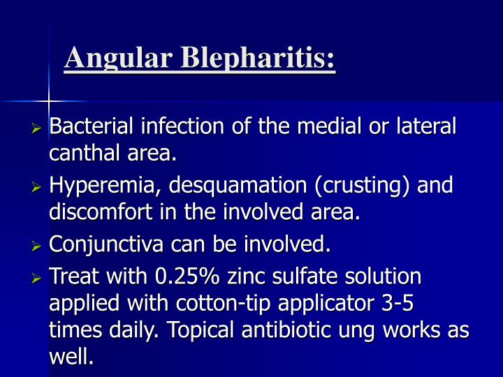 PPT - Posterior Blepharitis PowerPoint Presentation - ID:3336265