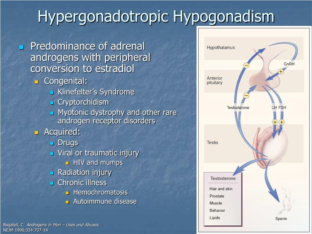 PPT Gynecomastia PowerPoint Presentation Free Download ID 3336596