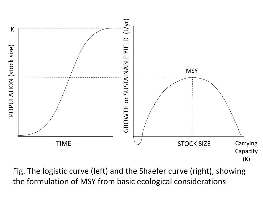 PPT - REM621 Topic 13: Economics of Fisheries PowerPoint Presentation ...