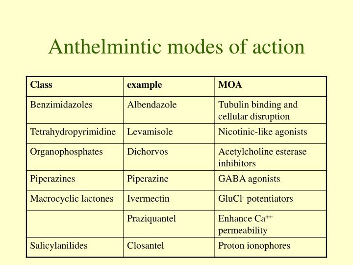 PPT - Mechanisms of Anthelmintic Resistance PowerPoint Presentation ...