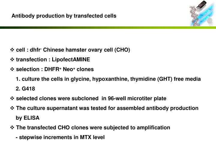 PPT - Protein Expression of CHO cells during Dihydrofolate Reductase ...