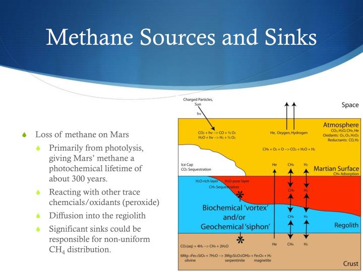 PPT - Methanogens PowerPoint Presentation - ID:3339208
