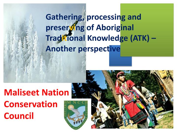 PPT - Maliseet Nation Conservation Council PowerPoint Presentation ...