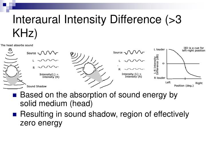 PPT - Sound Localization of Humans PowerPoint Presentation - ID:3339567