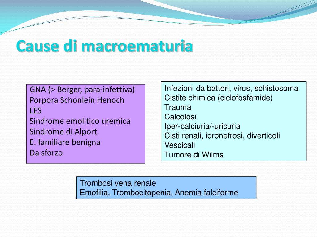 PPT - Esame urine, ematuria e proteinuria PowerPoint Presentation, free ...
