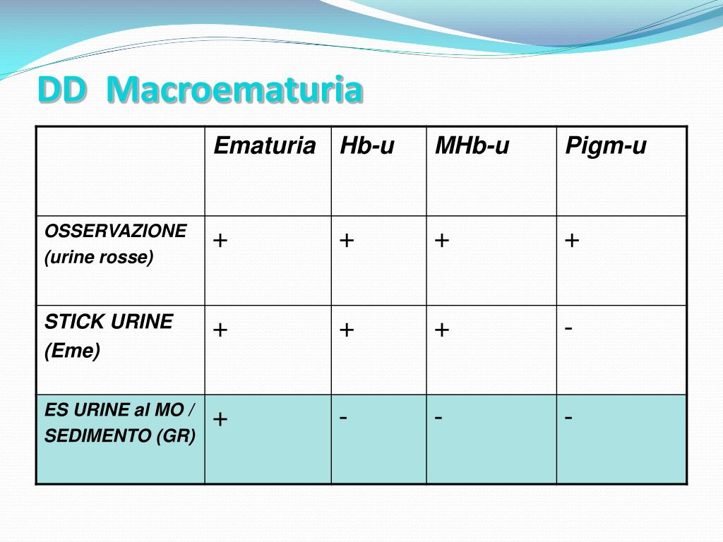 PPT - Esame urine, ematuria e proteinuria PowerPoint Presentation, free ...