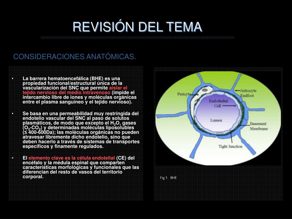 PPT - DIAGNÓSTICO DIFERENCIAL DE LAS LESIONES CEREBRALES CON REALCE EN ...