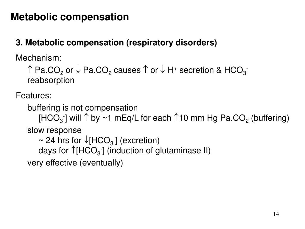 PPT - H + secretion (proximal tubule/thick ascending Henle) PowerPoint ...