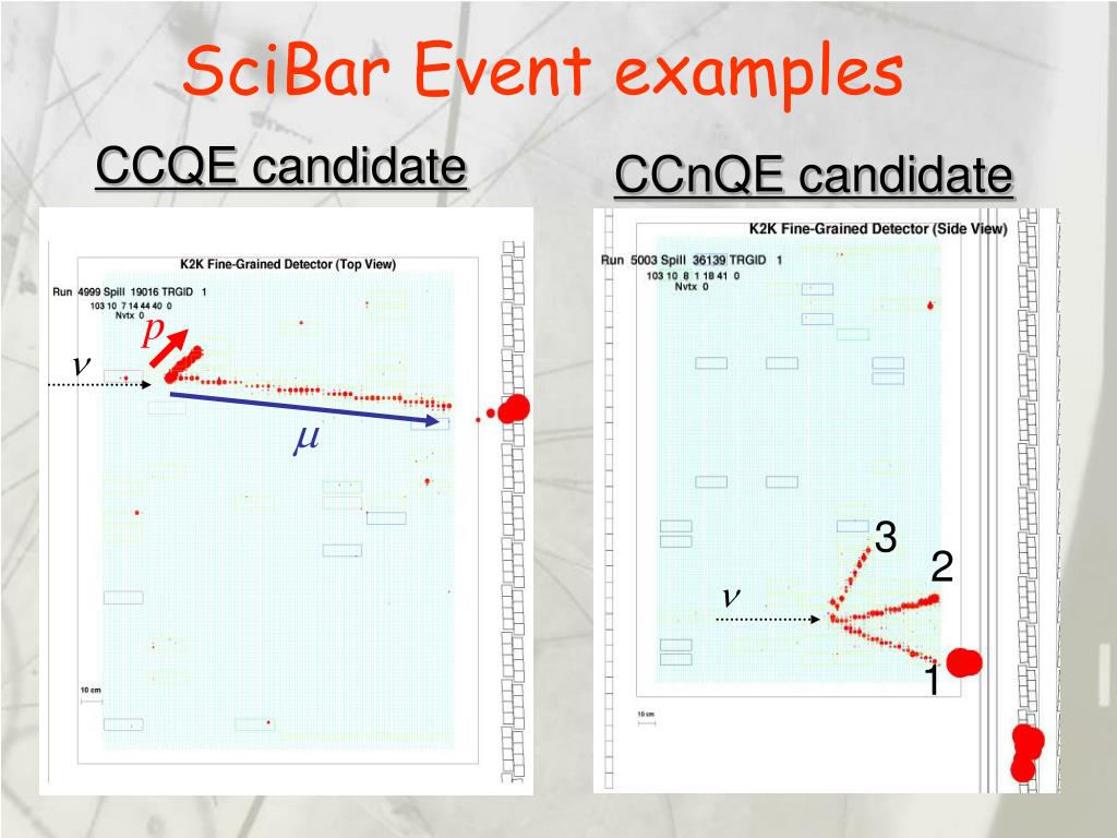 PPT - Search for coherent charged pion production in neutrino-carbon ...