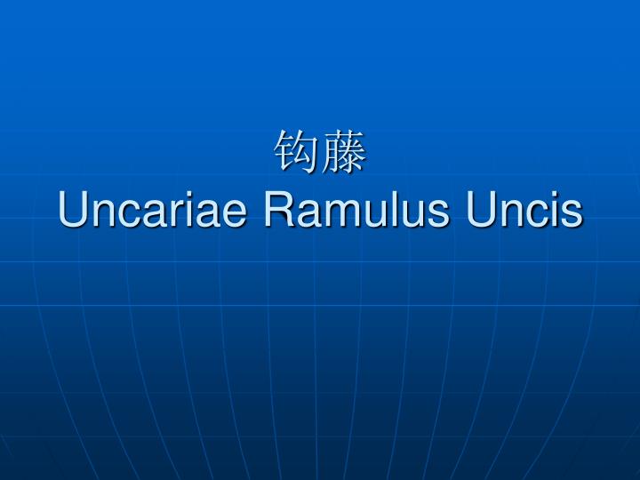 PPT - 钩藤 Uncariae Ramulus Uncis PowerPoint Presentation, free download ...